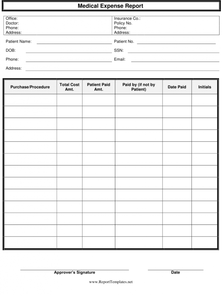 Medical Expense Report Template Download Printable Pdf Medical Expense ...