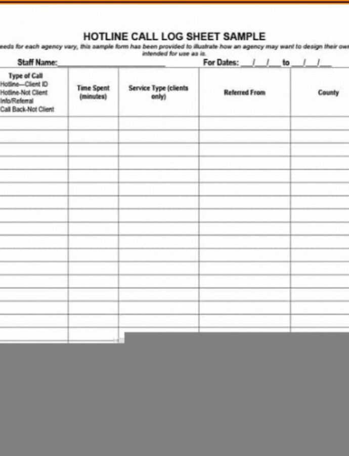 Project Manager Daily Log Template